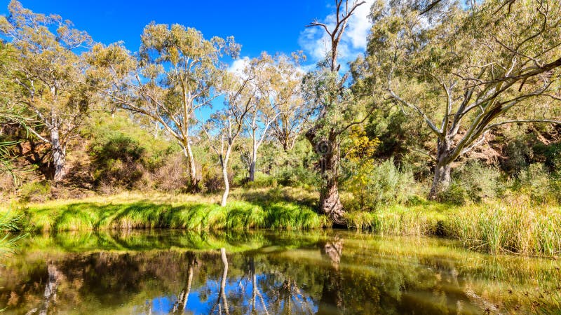 Onkaparinga River National Park on a Day Stock Image - Image of bright ...