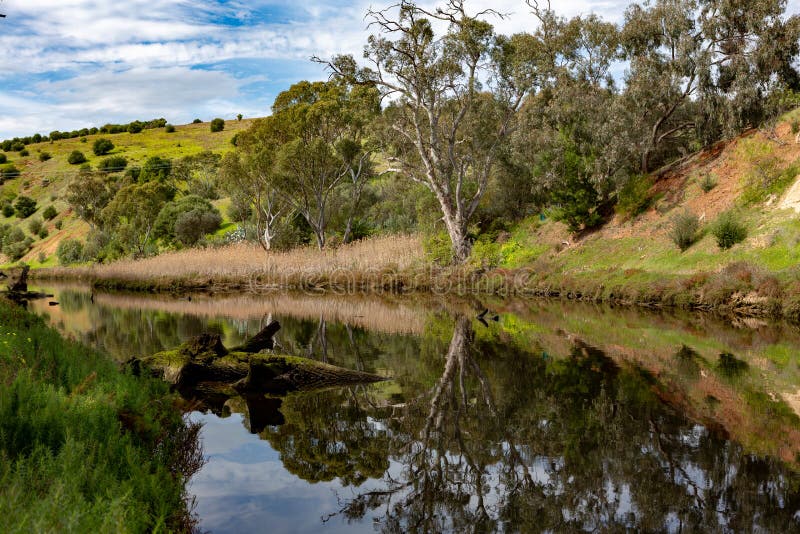 Onkaparinga River on a Sunny Day with Reflections of Trees and C Stock ...