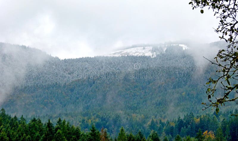 Onset of Winter in the Mountain Forest with Fog Stock Image - Image of ...