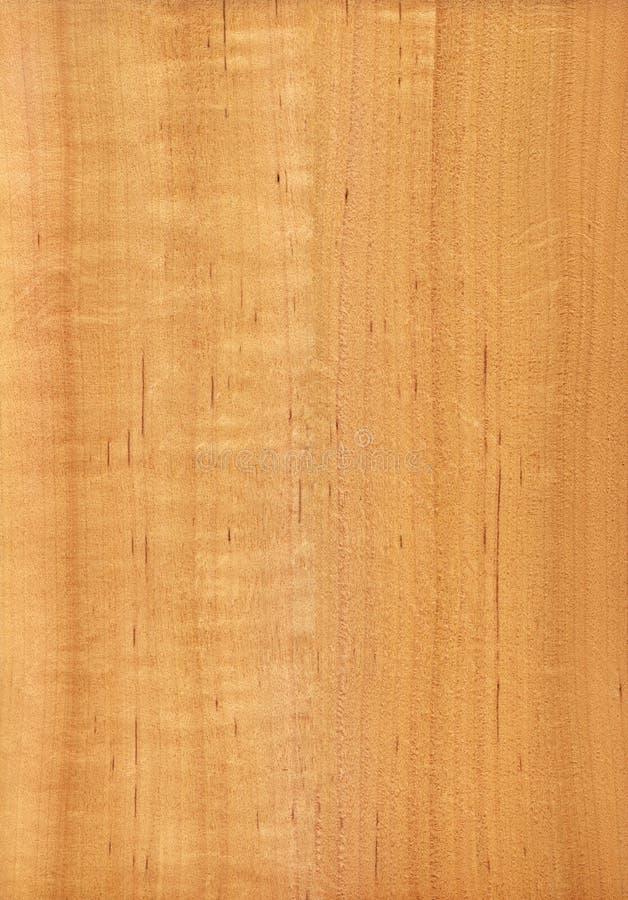 Ontano (struttura Di Legno) Fotografia Stock - Immagine di curva ...