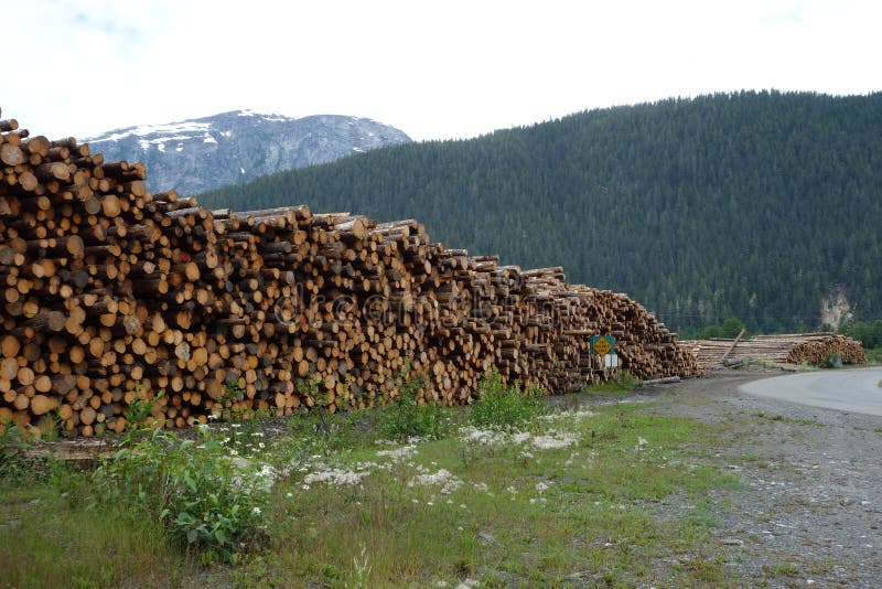 Ontbossing in Canada stock foto. Image of wolken, registreren - 42253082