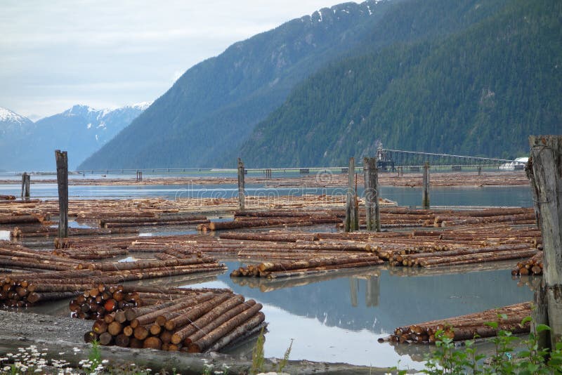 Ontbossing in Canada stock foto. Image of wolken, registreren - 42253082