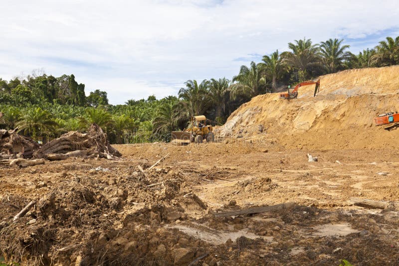 Ontbossing in Een Tropisch Regenwoud Stock Afbeelding - Image of ...