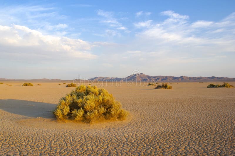 Het Panorama Van De Mojavewoestijn Stock Afbeelding - Image of ...