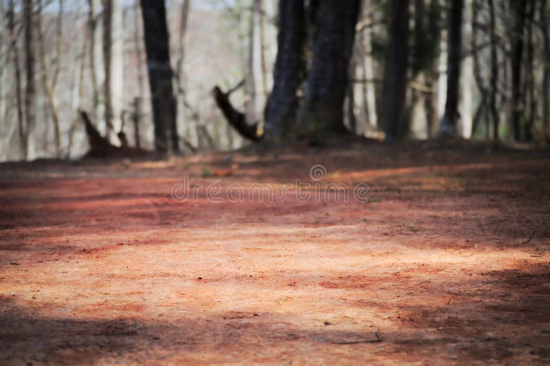 Onvruchtbare Rode Aarde Met Gebroken Bomen Stock Afbeelding ...