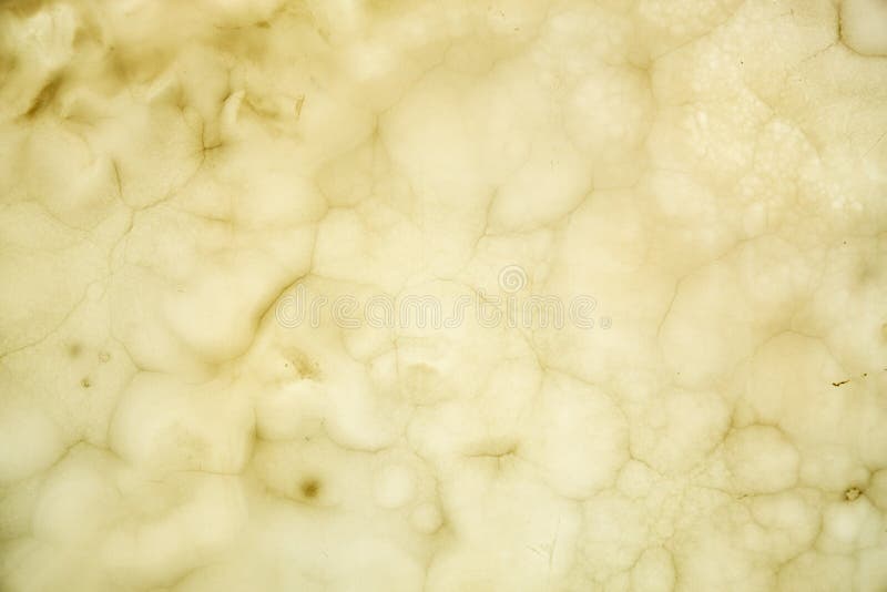 Onyx Wall Background. Texture of Honey Color Onyx Material Stock Image ...