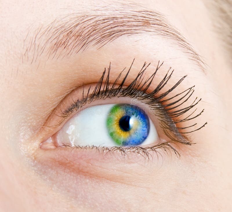 Kleurrijk menselijk oog stock foto. Image of grafisch - 15625396