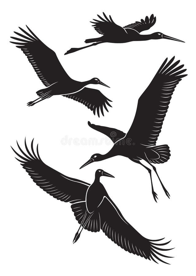 Ooievaar vector illustratie. Illustration of waadvogel - 28804778