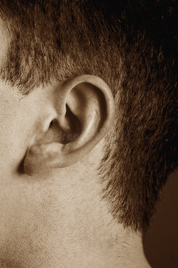 Oor stock foto. Afbeelding bestaande uit close, sepia, kanaal - 398728