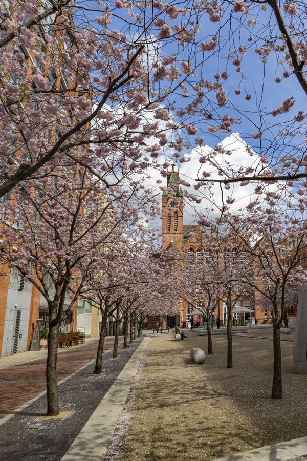 Oozells Square - Birmingham City Centre Uk Editorial Photo - Image of ...