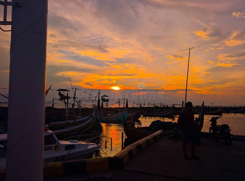 Opacarophile stock photo. Image of harbore, opacarophile - 262037872