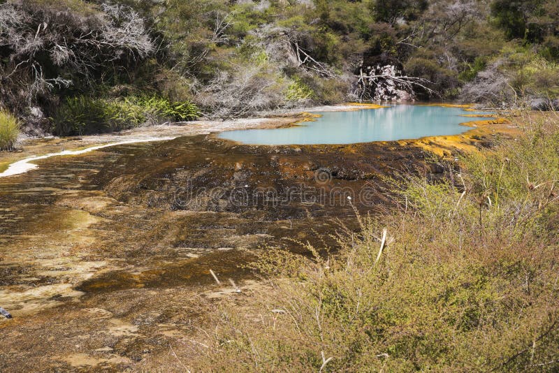 Opal Blue Lake at Warbrick Terrace Stock Image - Image of tarawera ...