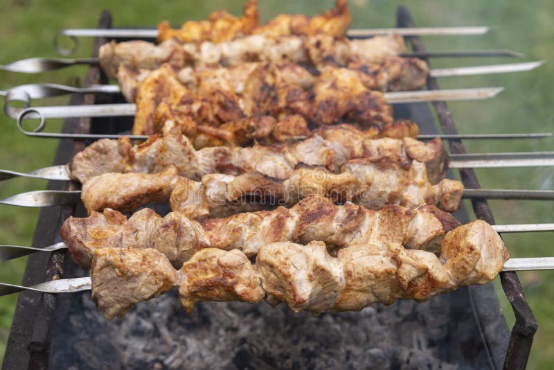 Open air barbecue stock photo. Image of cooking, barbecue - 232799546