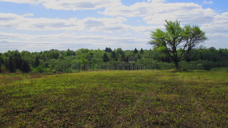 In the open air. stock image. Image of open, clouds, grass - 87095973