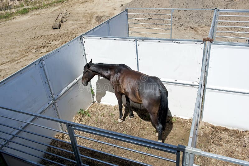 Open-air stable stock photo. Image of construction, equine - 20835328