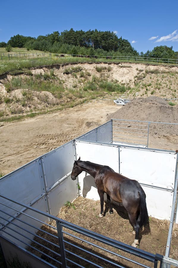 Open-air stable stock photo. Image of equestrian, breed - 20835354