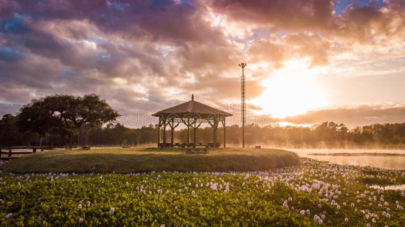 Open-air Structure by the Tree and Flowers Under the Clouds Stock Photo ...