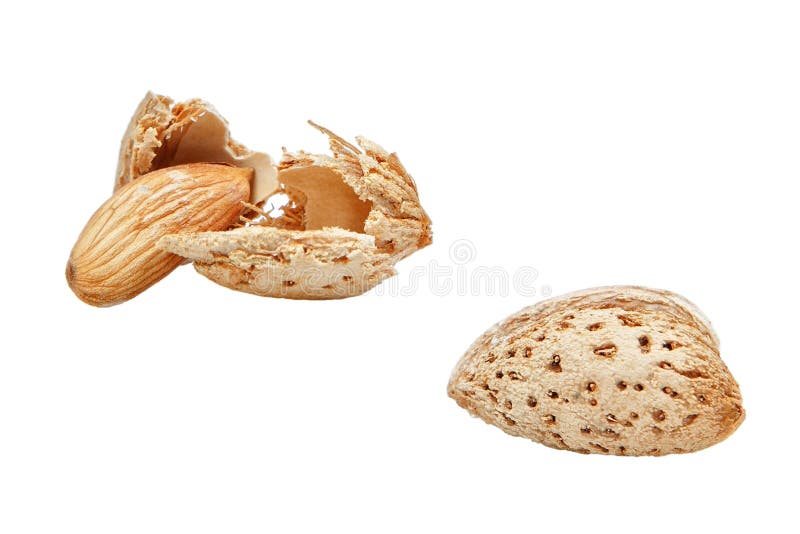 Open almonds. stock photo. Image of isolated, food, ingredient - 24332972