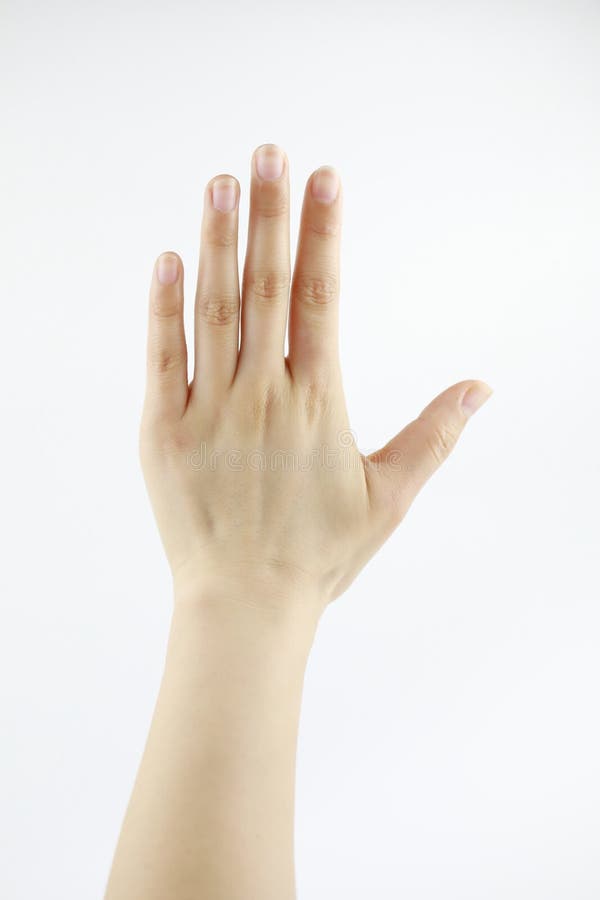 6,356 Open Back Hand Stock Photos - Free & Royalty-Free Stock Photos ...