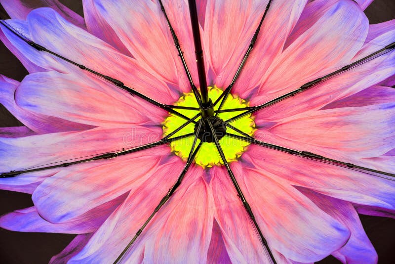 Open a Background Pattern Colorful Beauty. Stock Image - Image of ...