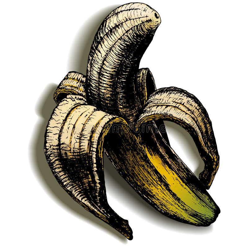 Brushed Bananas Stock Illustrations – 6 Brushed Bananas Stock ...