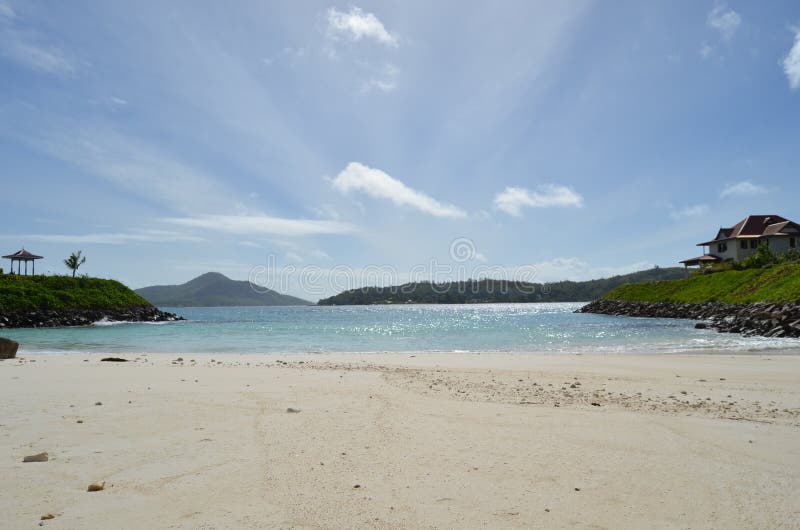 Open Beach editorial photography. Image of vegitation - 60790292