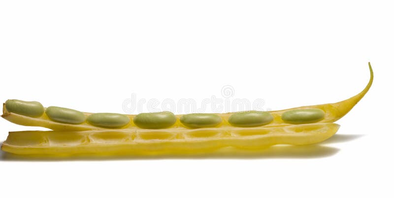 Open Bean Pod Isolated on White Stock Image - Image of vegetable ...