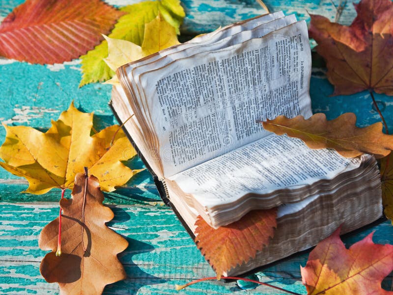 Open the Bible and the Fallen Autumn Stock Photo - Image of bench ...