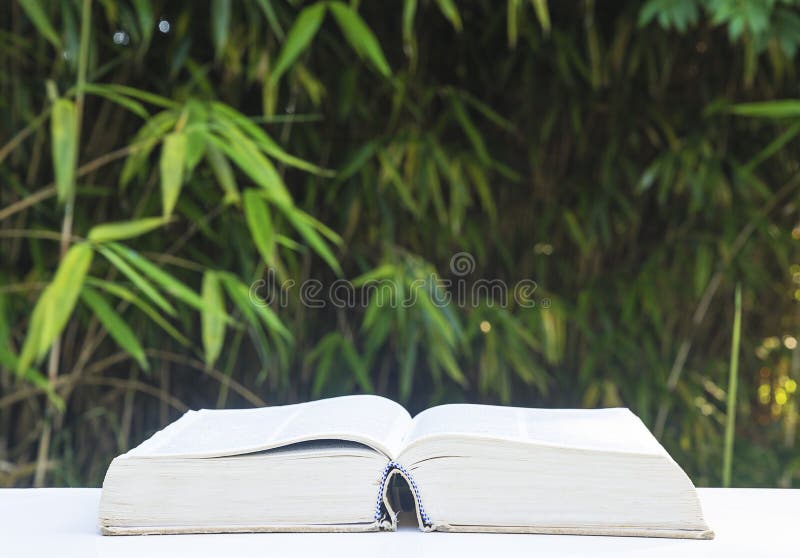 Open Big Book in Front of Green Bamboo Forest on Sunny Day Stock Image ...