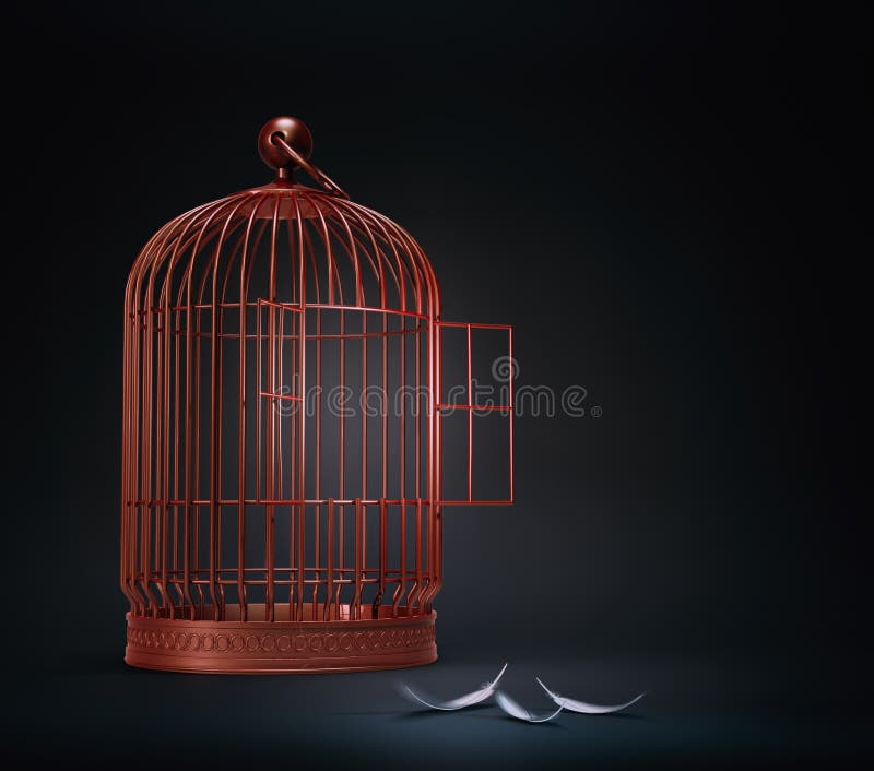 22+ Open bird cage Free Stock Photos - StockFreeImages