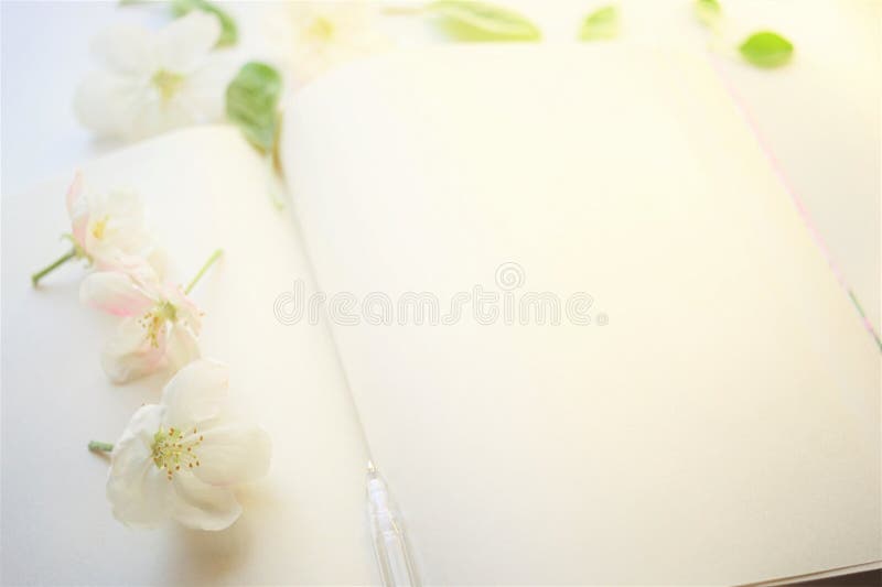 Open Blank Book with Blank Sheets and a Pen in Apple Blossoms Around ...