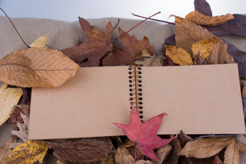 Open Blank Notebook with Fallen Autumn Leaves Stock Photo - Image of ...