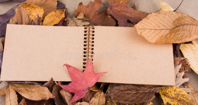 Open Blank Notebook with Fallen Autumn Leaves Stock Image - Image of ...