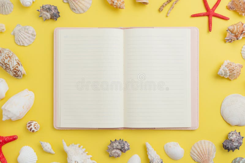 Open Blank Notebook, Surrounded by Shells and Starfish for Promo Text ...