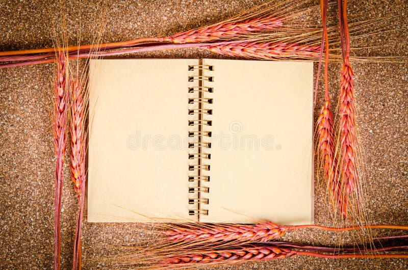 Open Blank Vintage Diary with Wheat. Stock Photo - Image of gothic ...