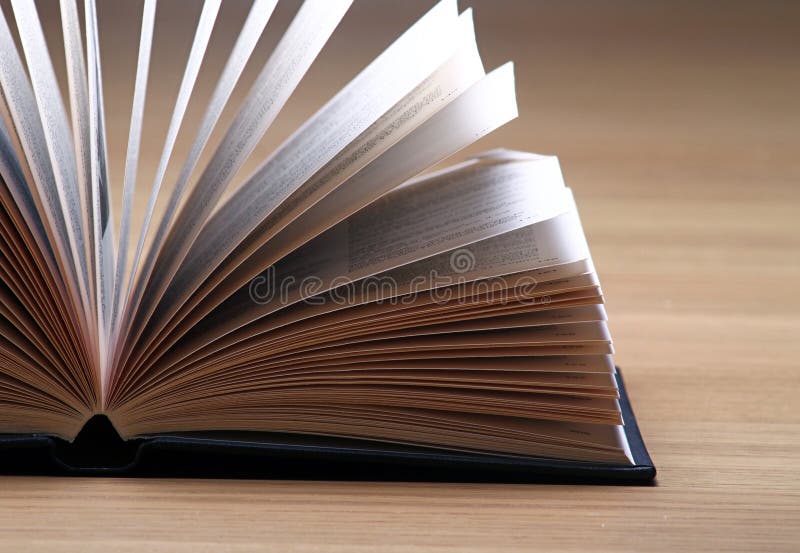Open book stock photo. Image of spine, single, open, page - 21355596