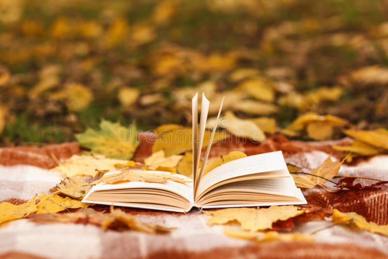 Open Book Autumn Park Background Plaid Fallen Leaves Stock Photos ...