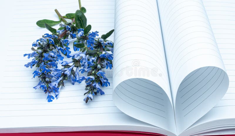 Open Book with Bent Pages in the Shape of Heart Stock Image - Image of ...