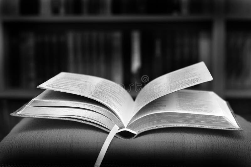 Open Book Bible. the Book of Life Stock Image - Image of design ...