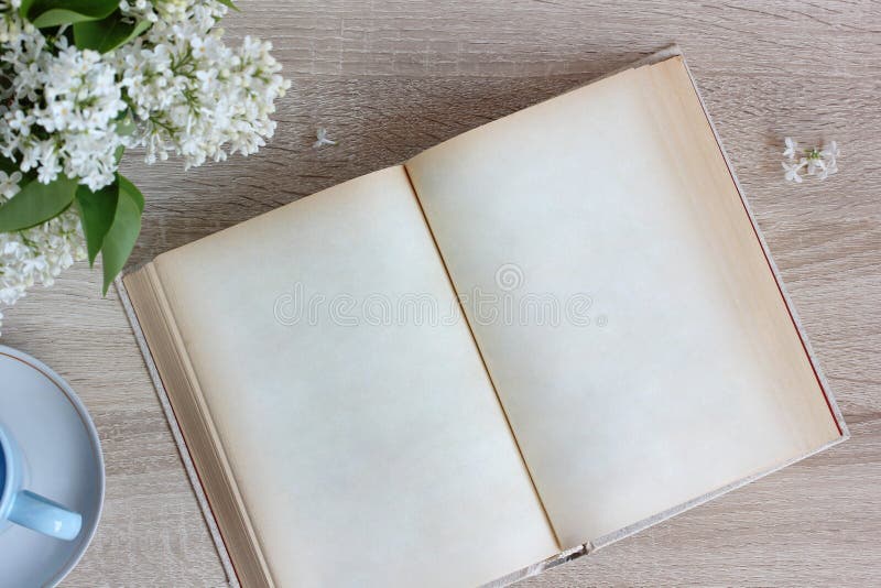 Open Book with Blank Pages on the Table, Top View Stock Image - Image ...