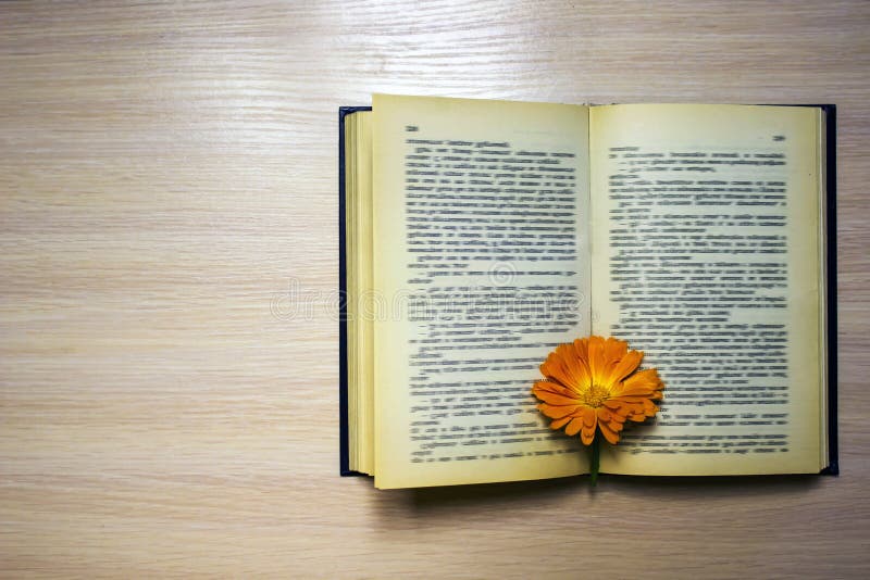 Open Book with a Bookmark - a Calendula Stock Image - Image of copy ...