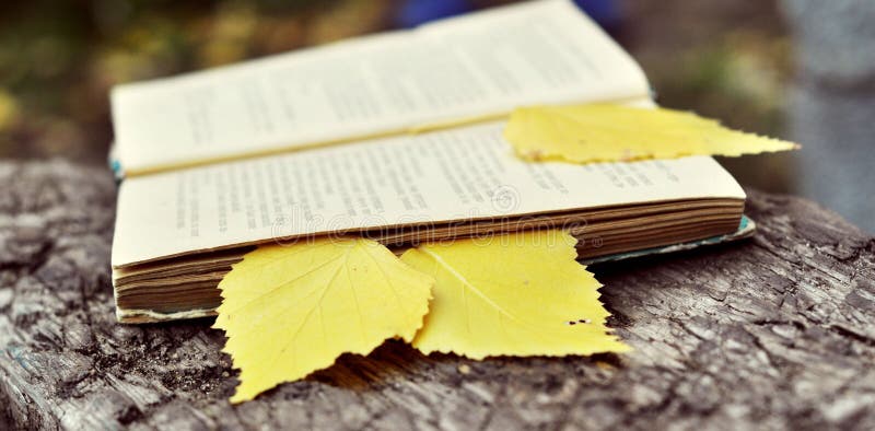 Open book with bookmark stock image. Image of dirty, reading - 78556325
