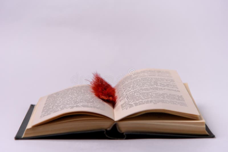 Open Book with a Bookmark on a White Background Stock Image - Image of ...