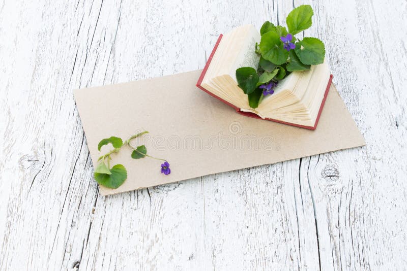Open Book Bouquet Violets Stock Photos - Free & Royalty-Free Stock ...