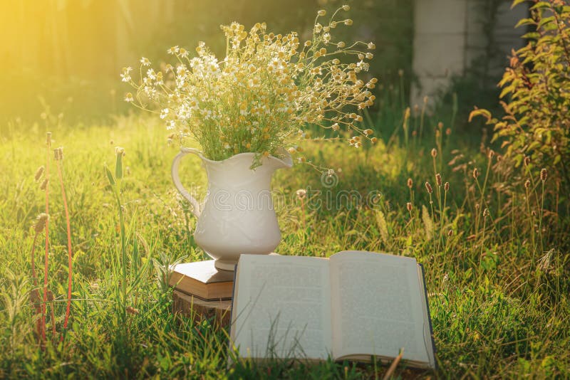 Open Book with Ceramic Jug with Chamomiles on Green Grass Outdoors ...