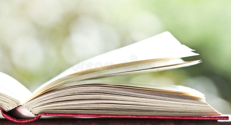 Open book stock photo. Image of open, paperwork, data - 32546854