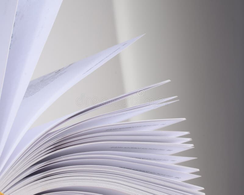 Open book stock image. Image of blank, opened, reading - 44655517