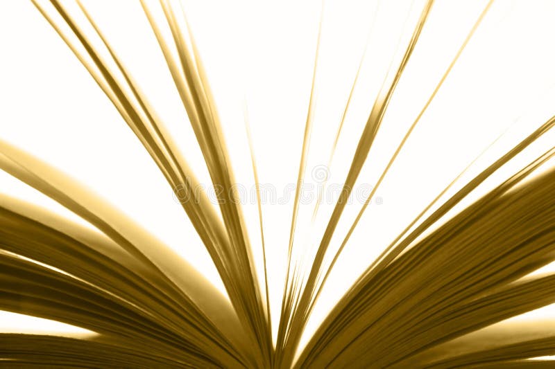 Open Book Detail with Sheets in Warm Tone Stock Image - Image of ...