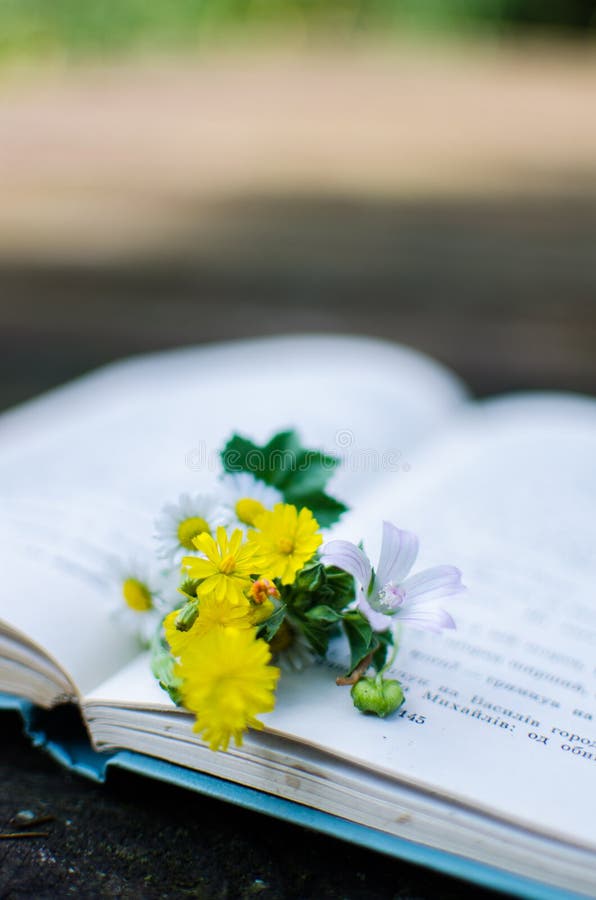 Open Book and Flowers for a Good Rest Stock Image - Image of garden ...