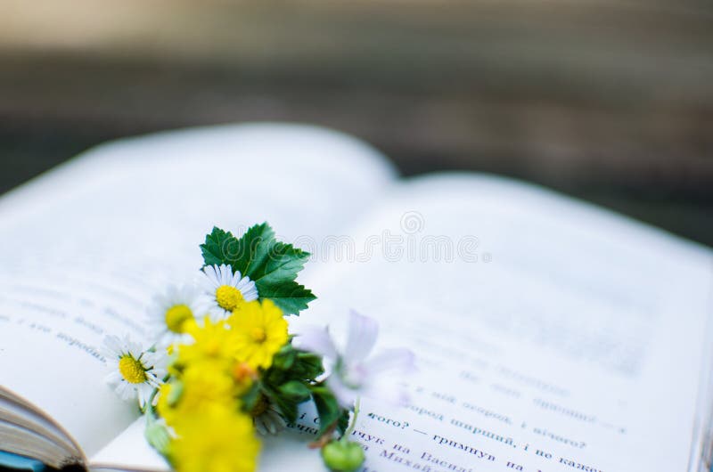 Open Book and Flowers for a Good Rest Stock Image - Image of border ...
